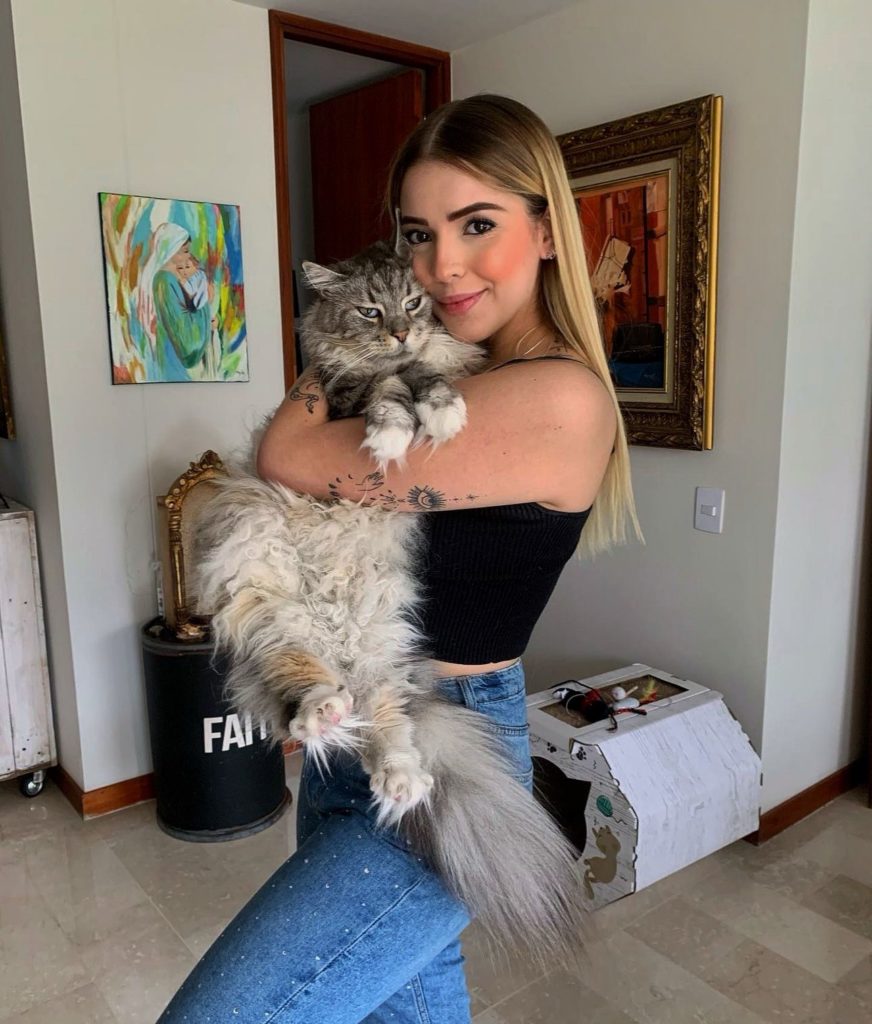 Practycollar: Collar GPS para Mascotas | Rastreo Seguro y en Tiempo Real